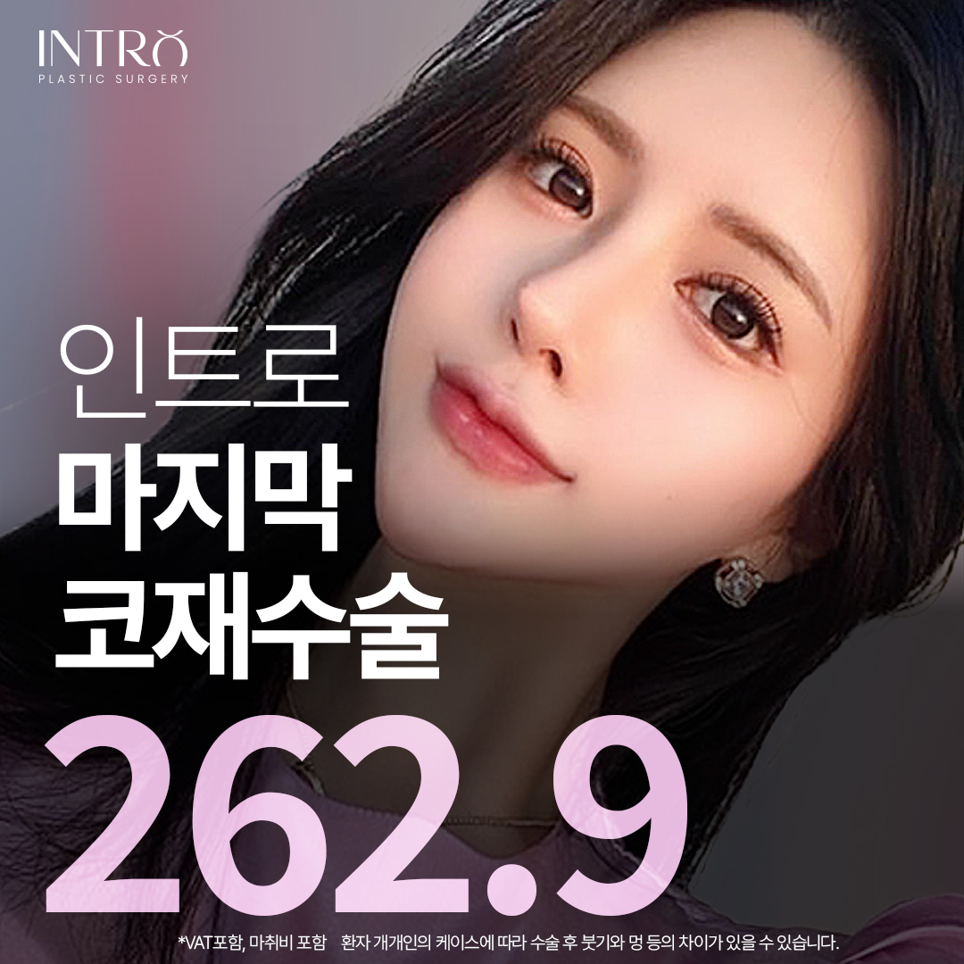 인트로 마지막 코재수술